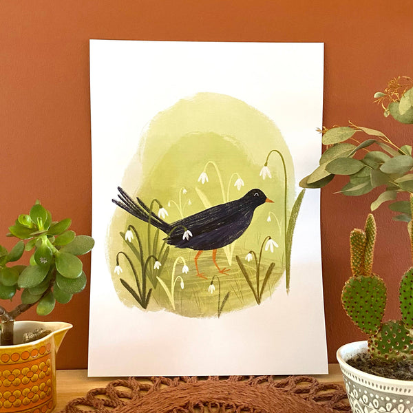 BLACKBIRD SNOWDROP PRINT - WHITE WOOD FRAME - Feather & Twigs