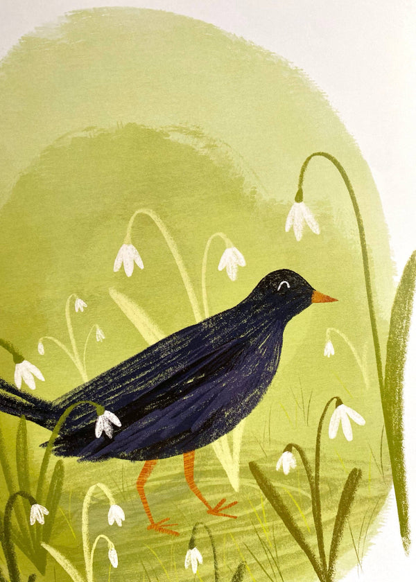 BLACKBIRD SNOWDROP PRINT - WHITE WOOD FRAME - Feather & Twigs