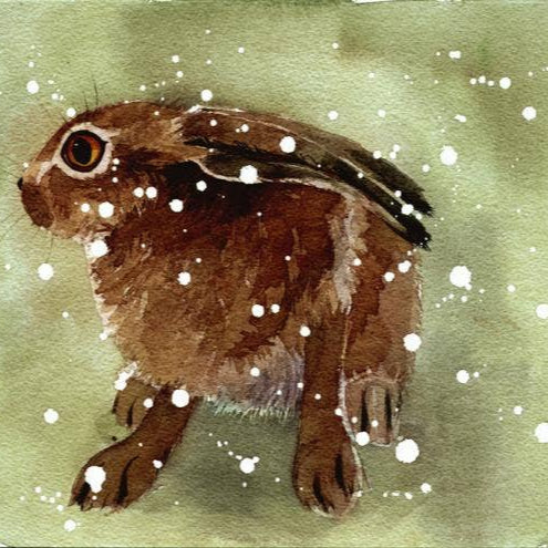 LEVERET, SNOW GREETINGS CARD - Feather & Twigs