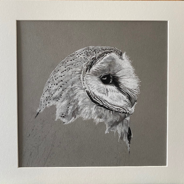 LIMITED EDITION FRAMED OWL PEN AND INK DRAWING BY CHRIS BIRKS - Feather ...