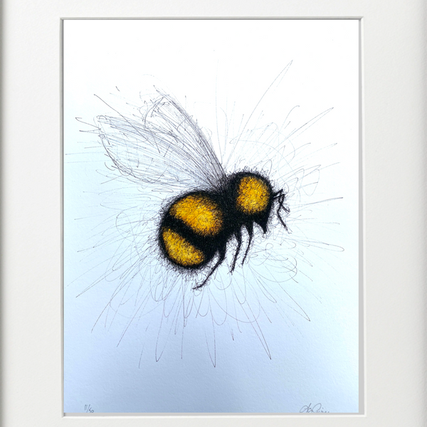 BEE - PEN & INK - LIMITED EDITION PRINT - Feather & Twigs